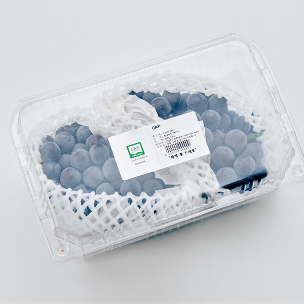 GAP 경산 캠벨포도(3수/1kg내외) - 오아시스마켓::믿을 수 있는 먹거리