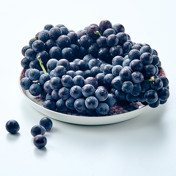 GAP 지리산 캠벨포도(1kg/3~4송이) - 오아시스마켓::믿을 수 있는 먹거리